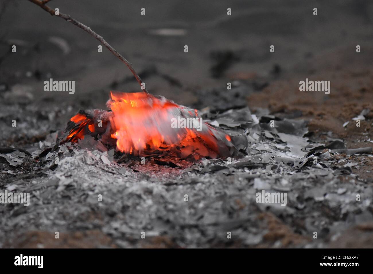Asche fallen -Fotos und -Bildmaterial in hoher Auflösung – Alamy