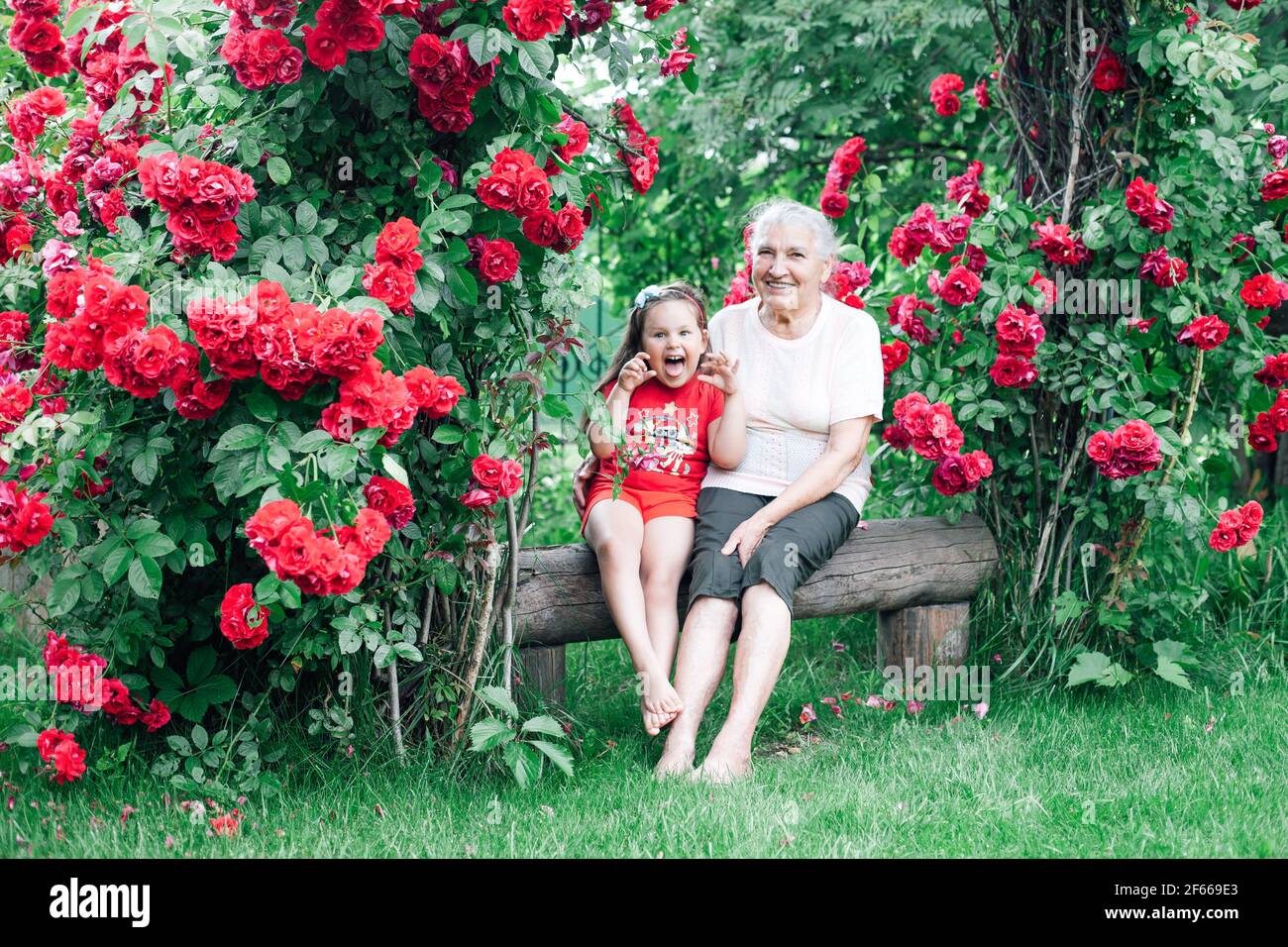 Eine grauhaarige alte Großmutter und ihre Enkelin spielen auf einem ...