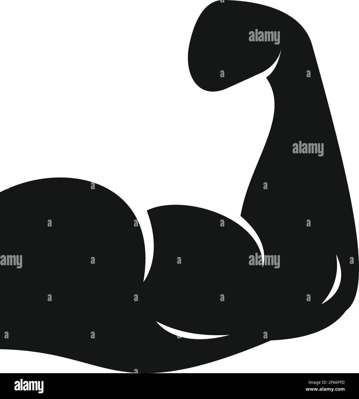 Bizeps anatomie Stock-Vektorgrafiken kaufen - Seite 3 - Alamy