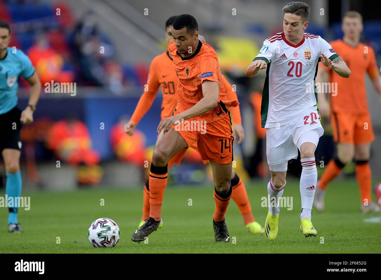 SZEKESFEHERVAR, UNGARN - 30. MÄRZ: Cody Gakpo aus den Niederlanden U21 ...