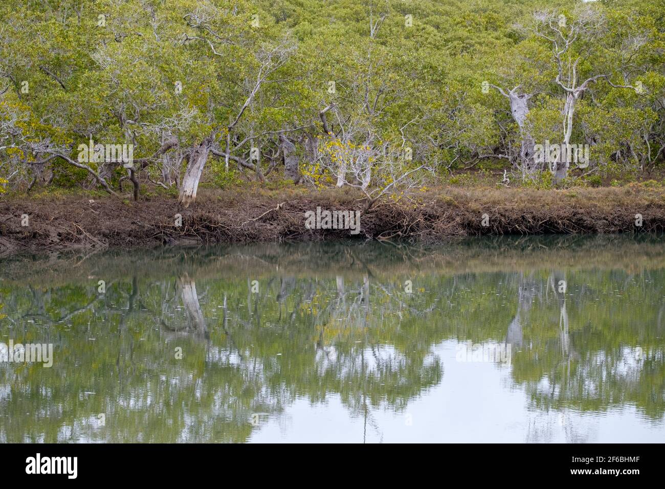 Nudgee strand -Fotos und -Bildmaterial in hoher Auflösung – Alamy