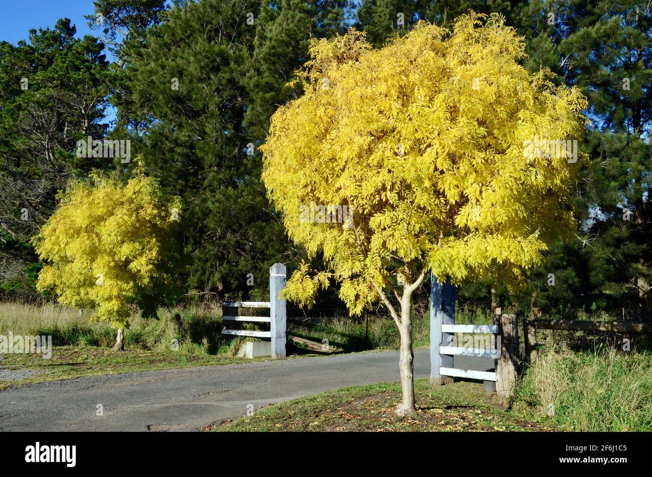 Southern highlands -Fotos und -Bildmaterial in hoher Auflösung – Alamy
