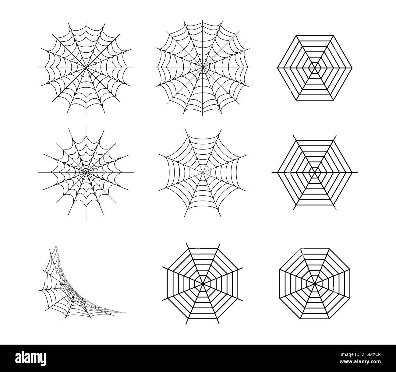 Spinne insekt Stock-Vektorgrafiken kaufen - Alamy