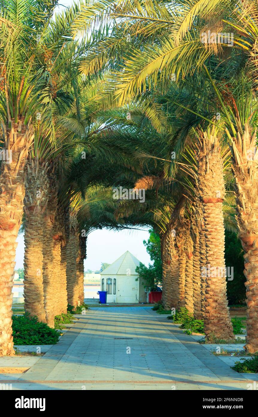 Jeddah strand -Fotos und -Bildmaterial in hoher Auflösung – Alamy