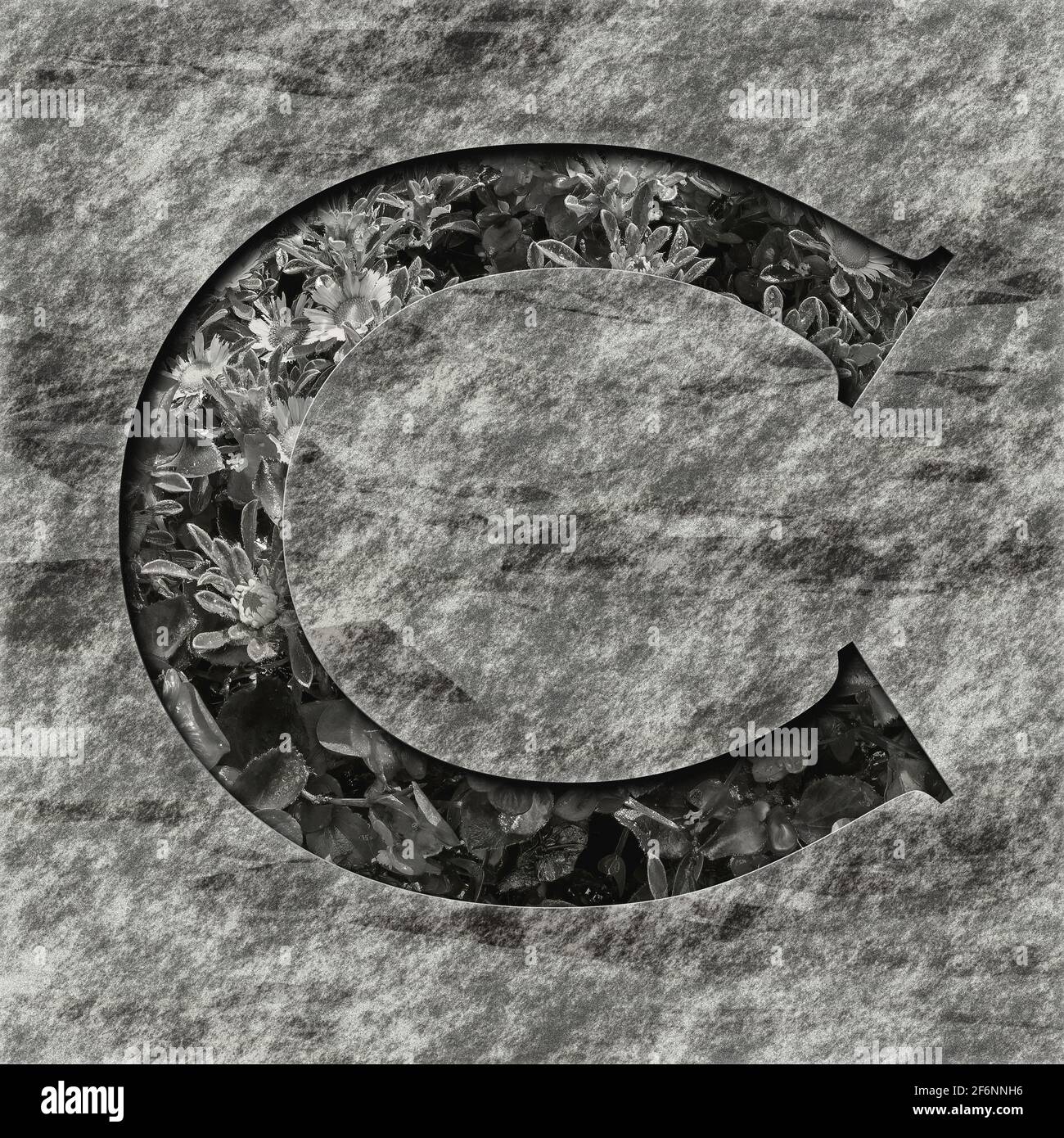 Roman majuscule alphabet -Fotos und -Bildmaterial in hoher Auflösung ...