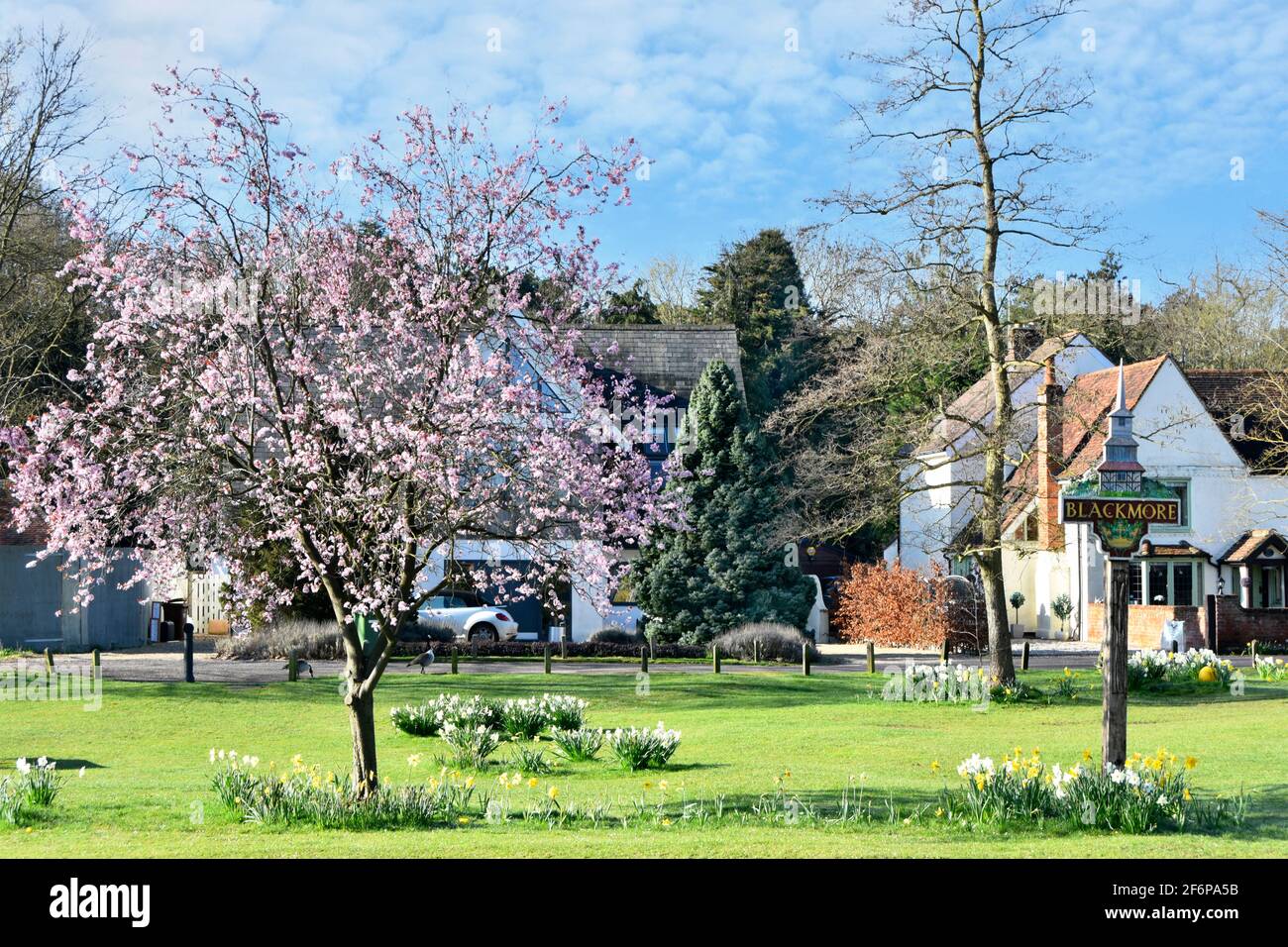 Typische englische häuser -Fotos und -Bildmaterial in hoher Auflösung ...