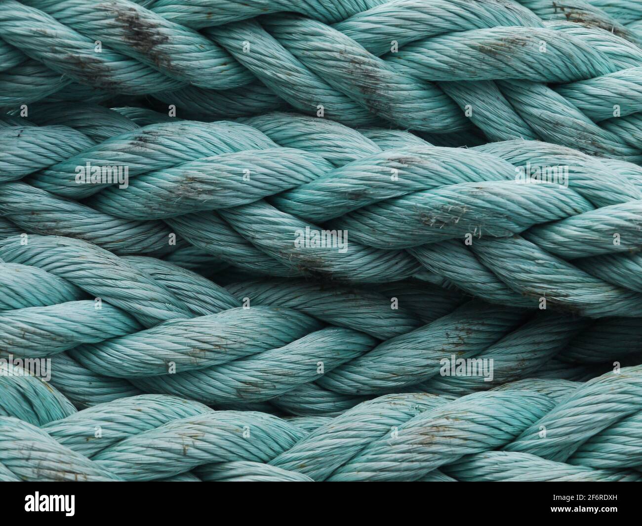 Blaue klampe -Fotos und -Bildmaterial in hoher Auflösung – Alamy