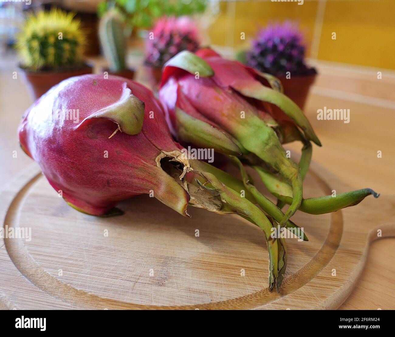 Eine Pitaya oder Pitahaya ist die Frucht mehrerer verschiedener ...