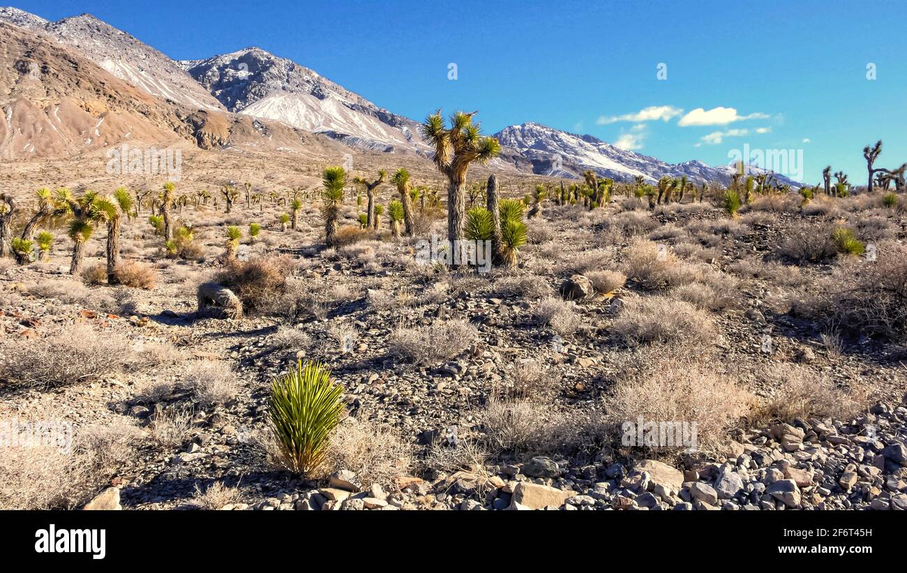 Kalifornien death valley nationalpark usa -Fotos und -Bildmaterial in ...