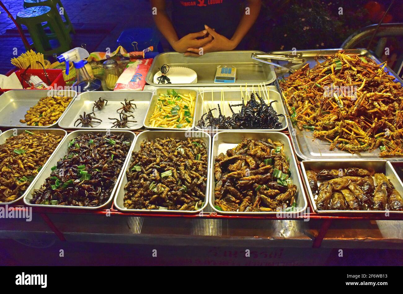 Insect Food Thailand Stockfotos und -bilder Kaufen - Alamy