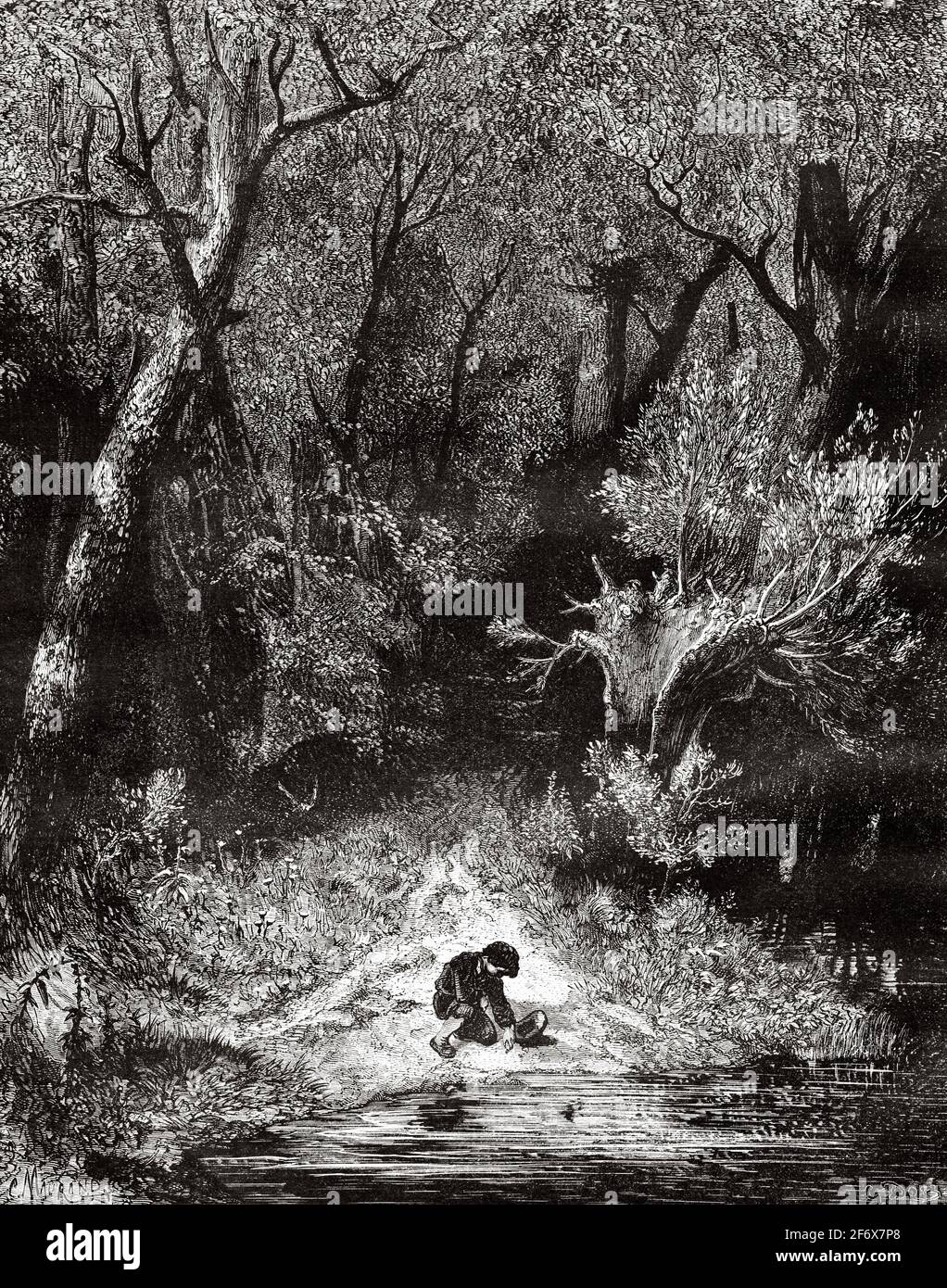 Der einsame traurige Junge ist im dunklen Waldstrom. Die Tom Thumb ...