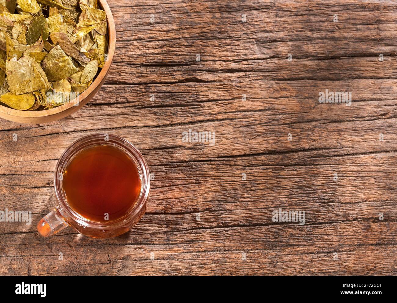 Erythroxylum coca coca -Fotos und -Bildmaterial in hoher Auflösung – Alamy