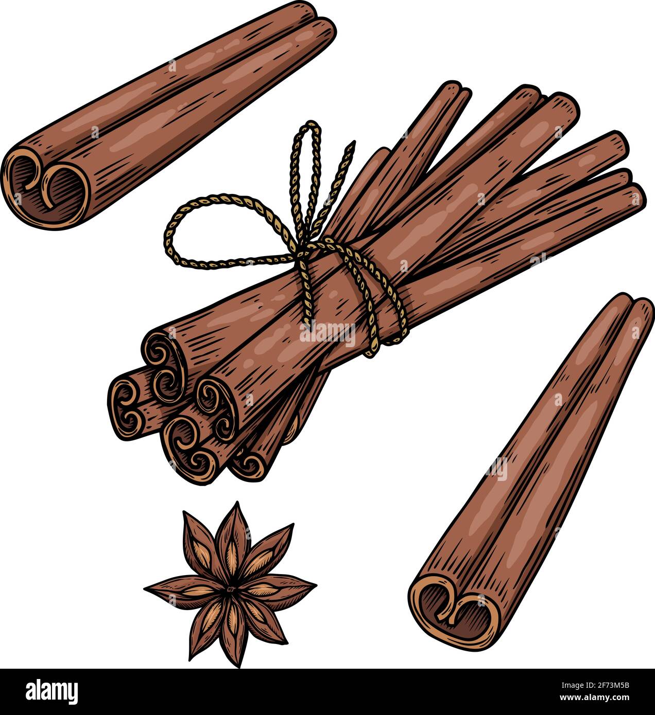 Illustration von Zimt im Gravurstil. Gestaltungselement für Emblem ...