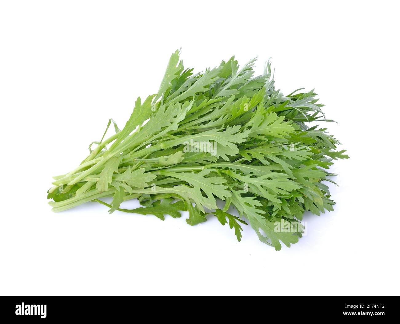 Chrysanthemum coronarium -Fotos und -Bildmaterial in hoher Auflösung ...