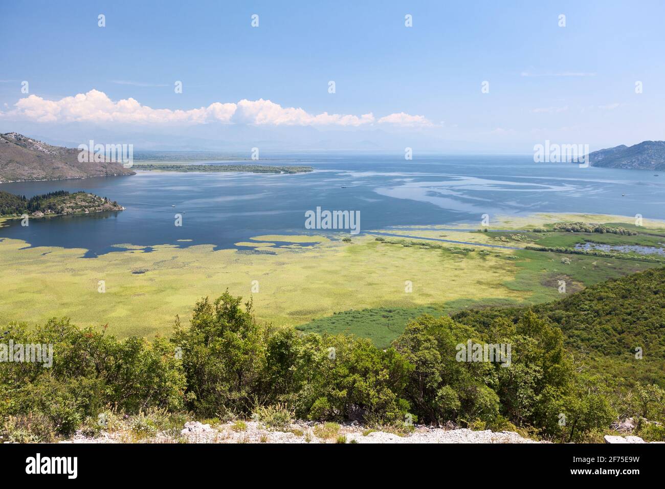 Skadarsko jezero -Fotos und -Bildmaterial in hoher Auflösung – Alamy