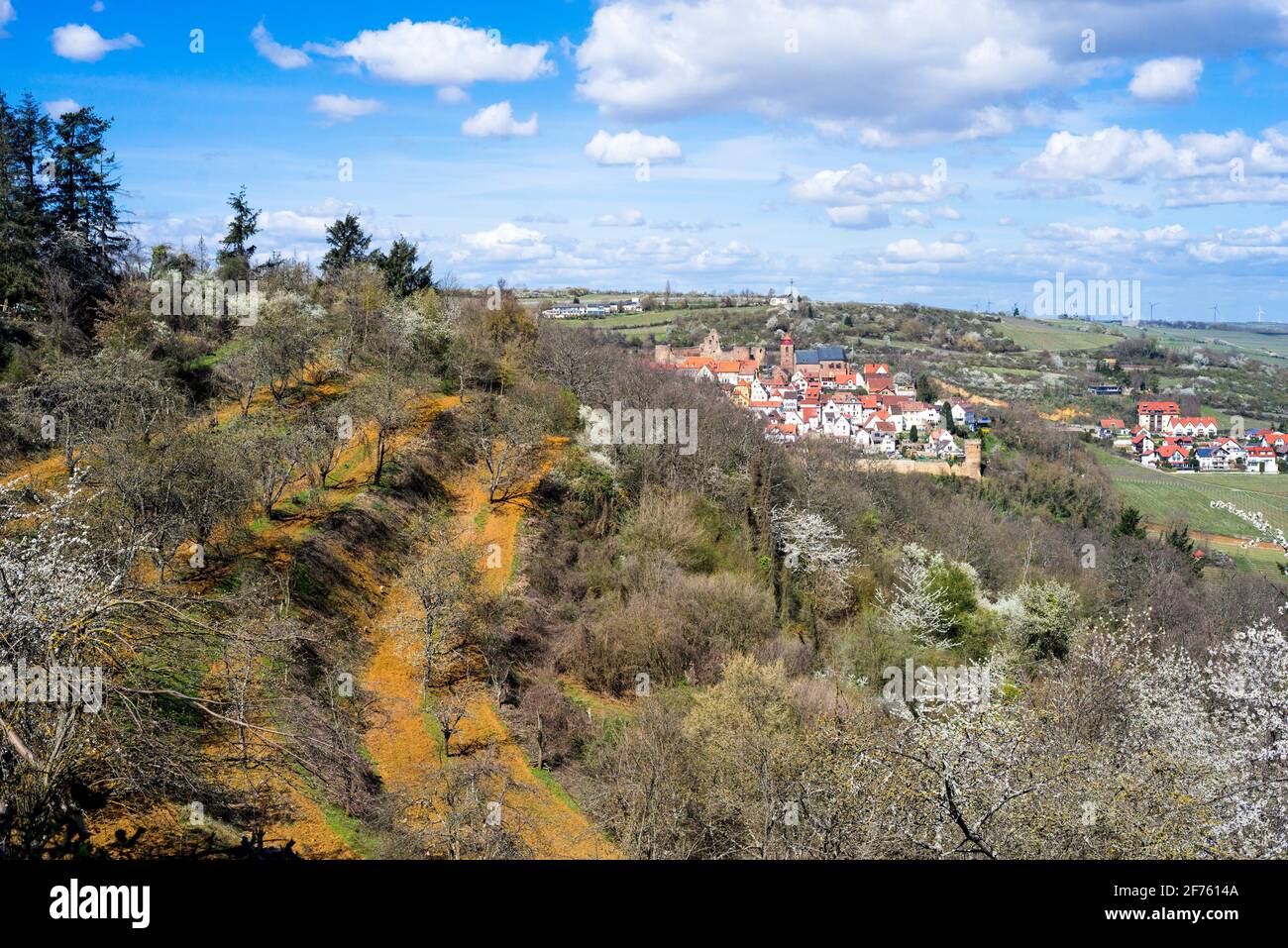 Das historische Dorf Neuleiningen in der Pfalz Region Deutschland ...