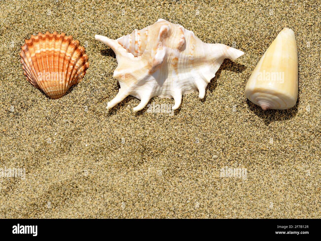 Sand sommer strand -Fotos und -Bildmaterial in hoher Auflösung – Alamy