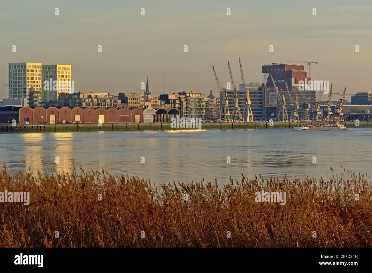 Die Skyline von Antwerpen über den Fluss Schelde mit dem MAS-Museum ...