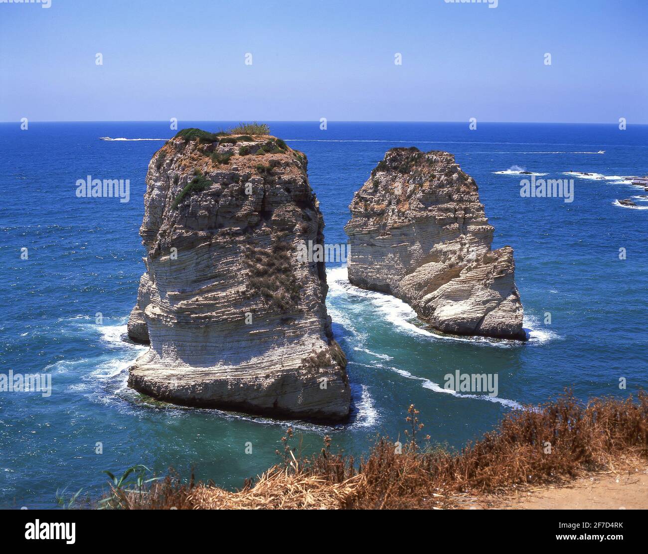 Felsen taube -Fotos und -Bildmaterial in hoher Auflösung – Alamy