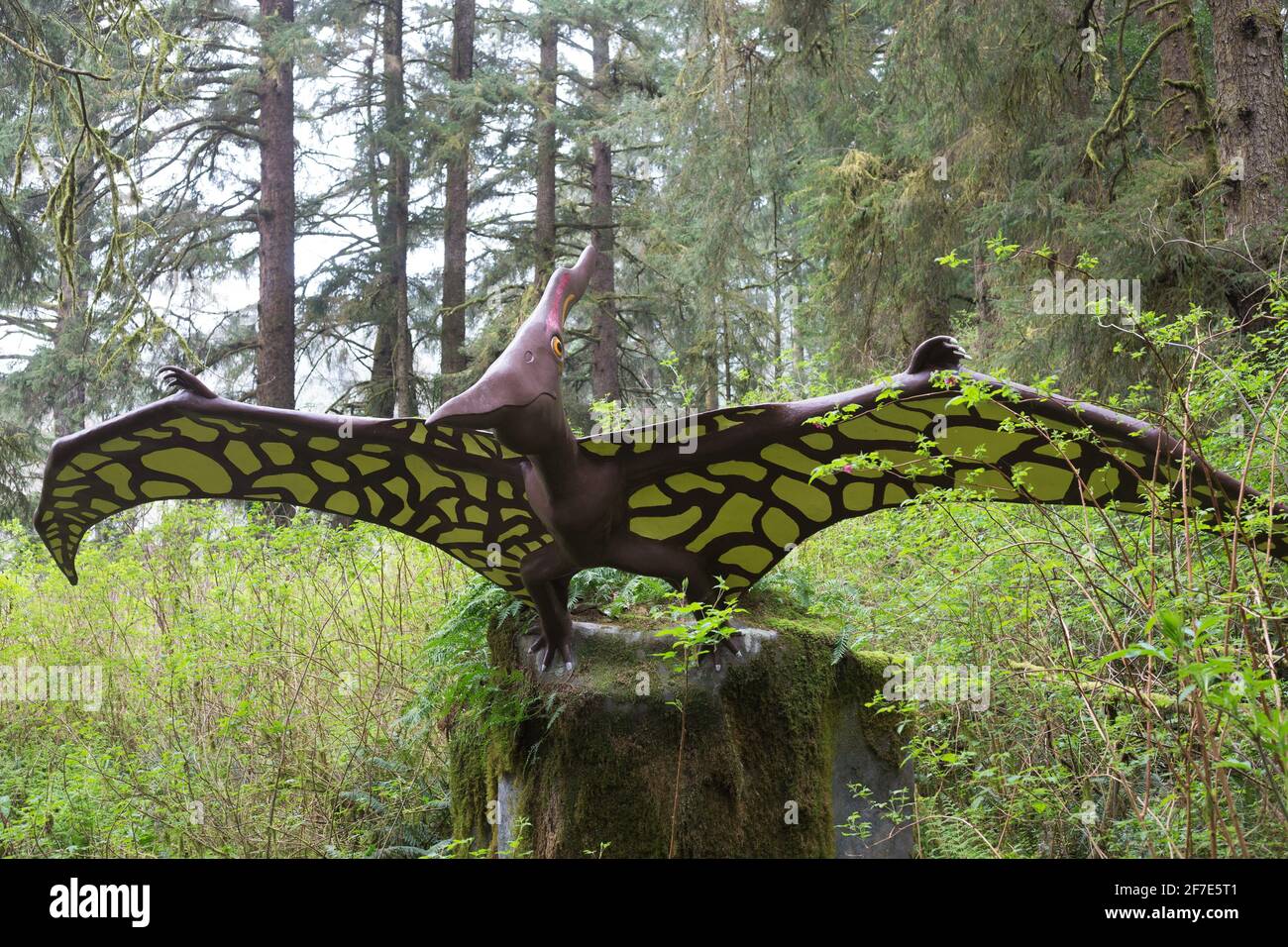 Eine Pteranodon-Statue in den Prehistoric Gardens in Port Orford ...