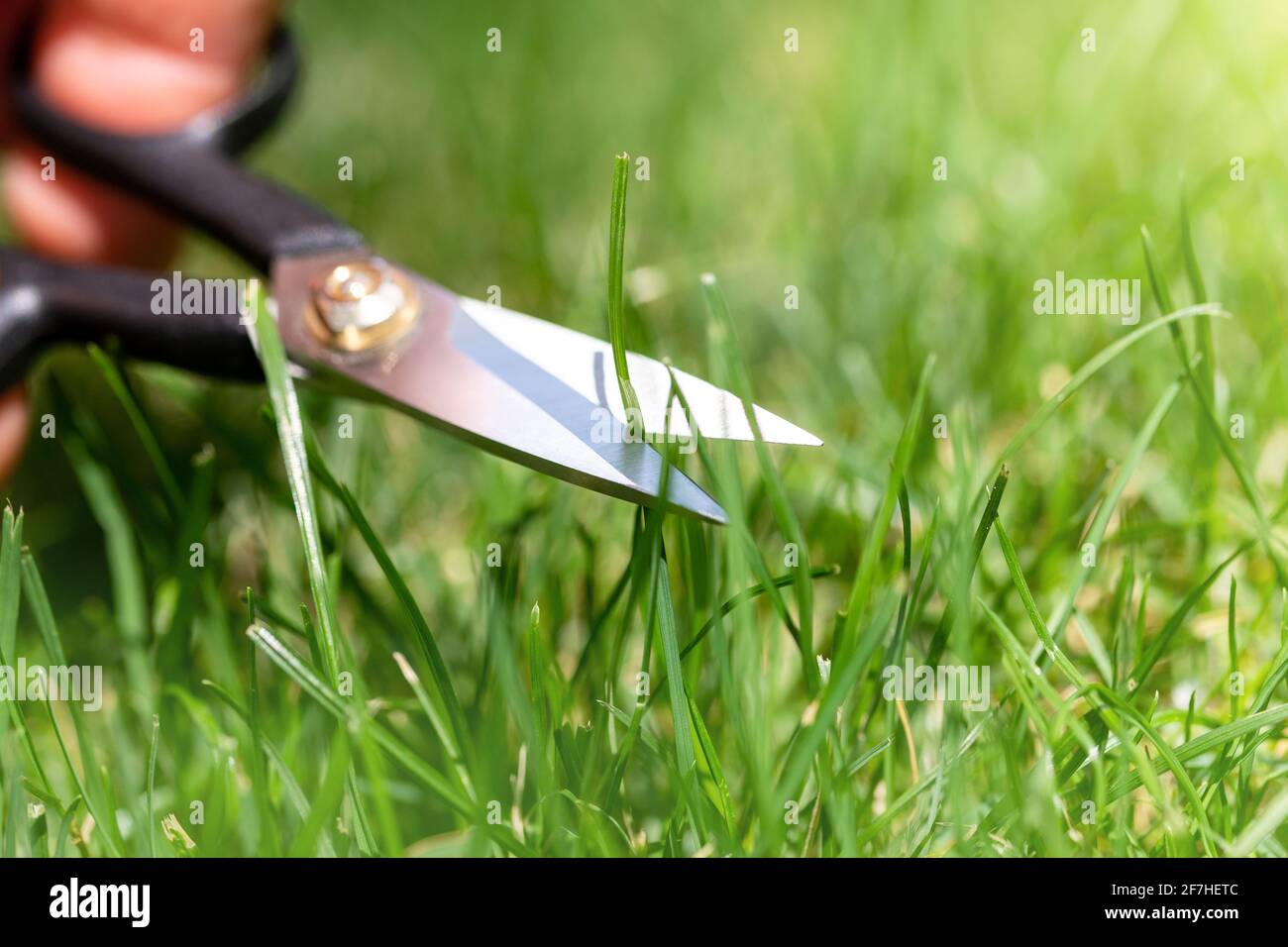 Perfekter rasen -Fotos und -Bildmaterial in hoher Auflösung – Alamy