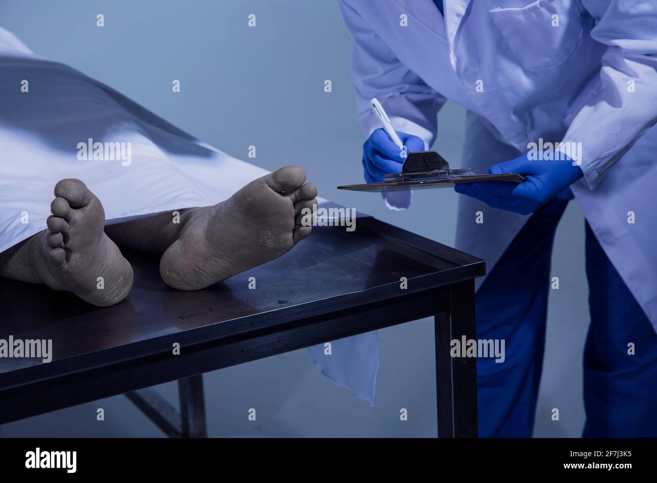 Autopsy Doctor Stockfotos und -bilder Kaufen - Alamy
