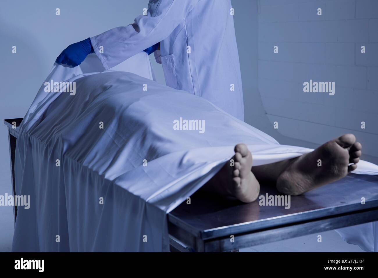 Autopsy Doctor Stockfotos und -bilder Kaufen - Alamy