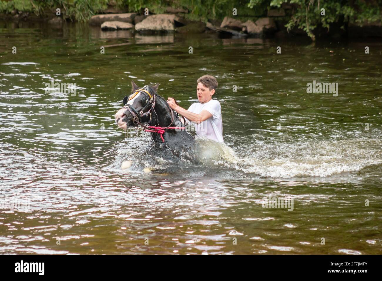 Zigeuner teens -Fotos und -Bildmaterial in hoher Auflösung – Alamy
