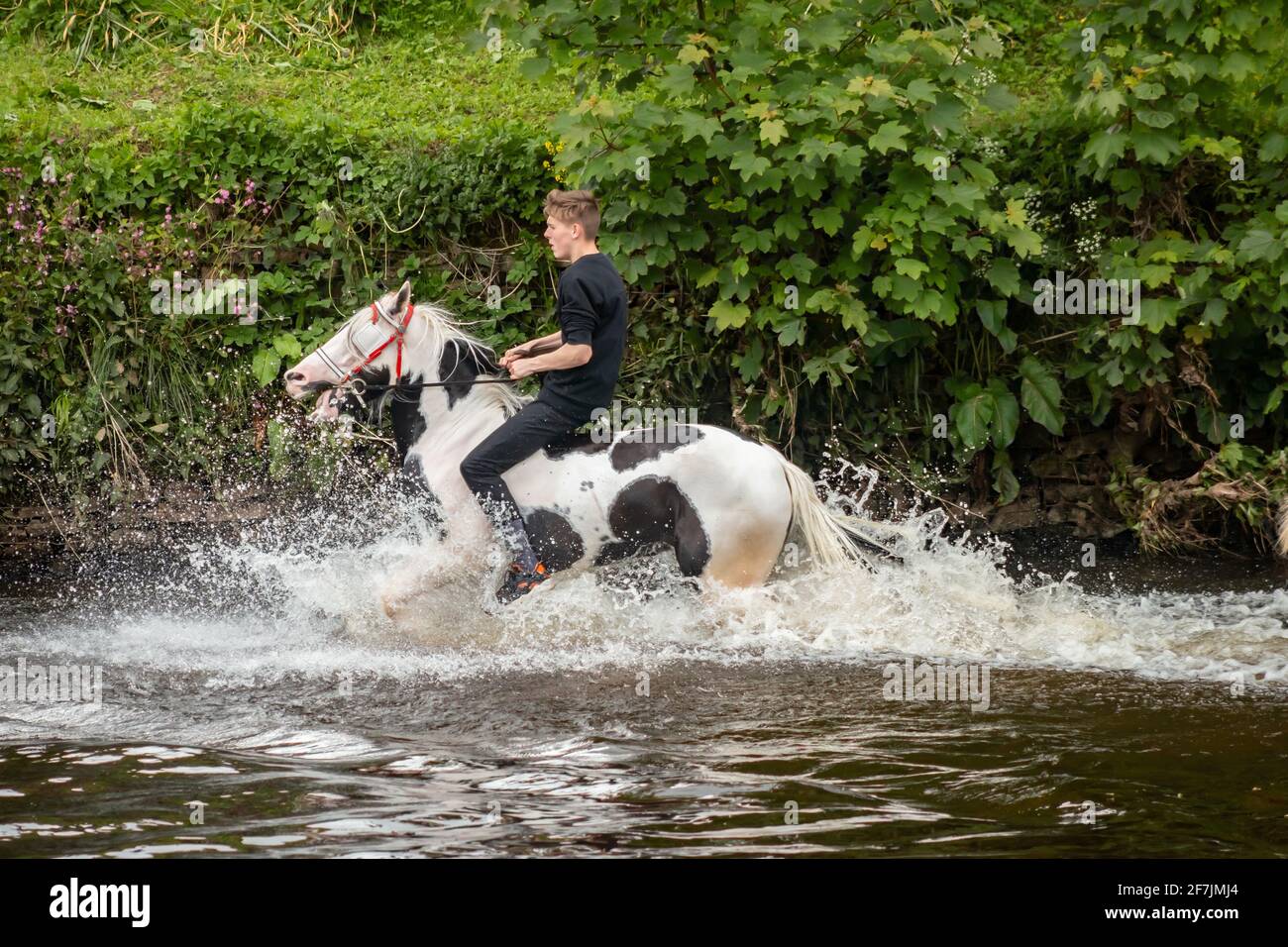 Zigeuner teens -Fotos und -Bildmaterial in hoher Auflösung – Alamy