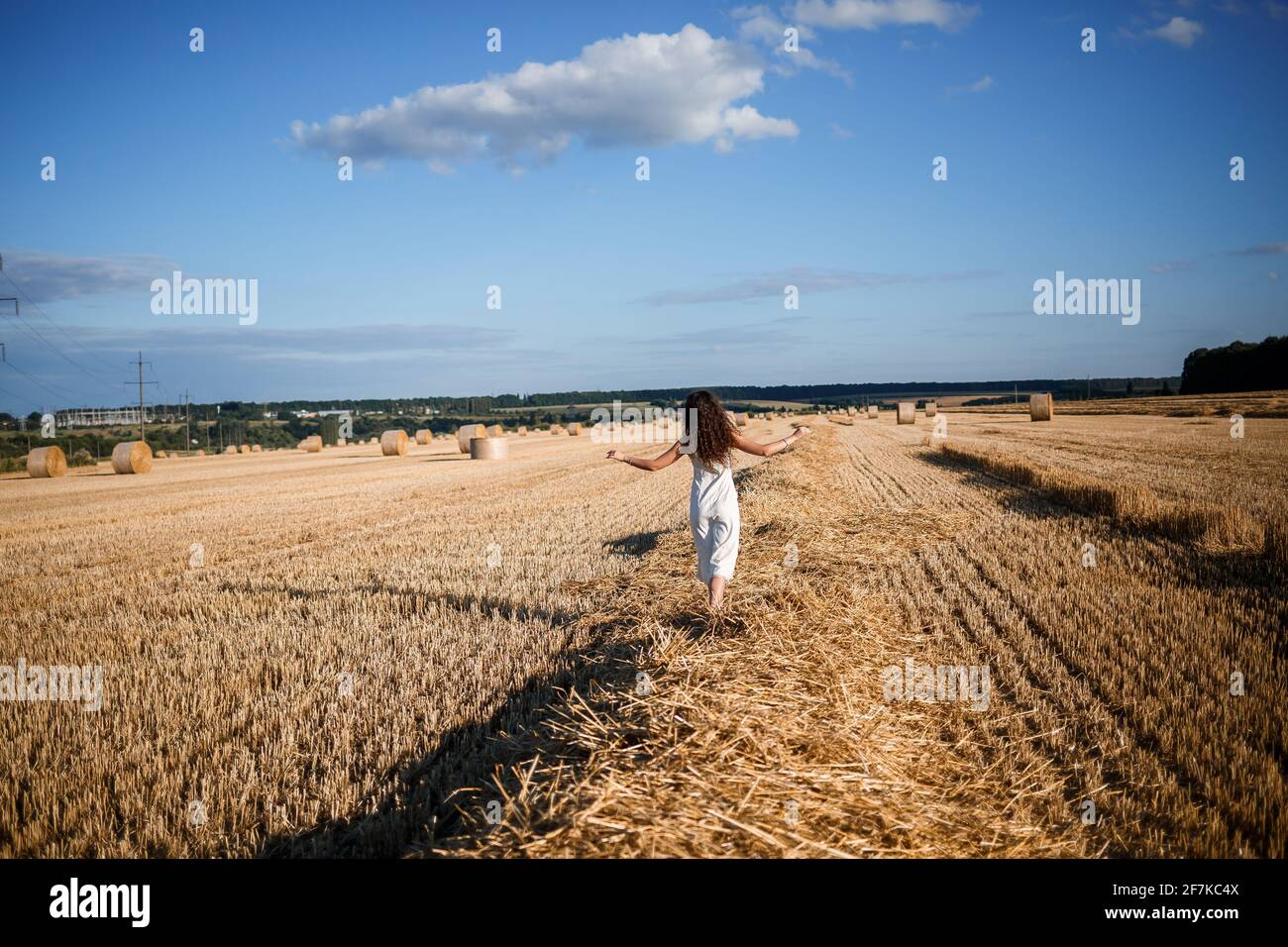 Garben weizen in einer feldkunst -Fotos und -Bildmaterial in hoher ...
