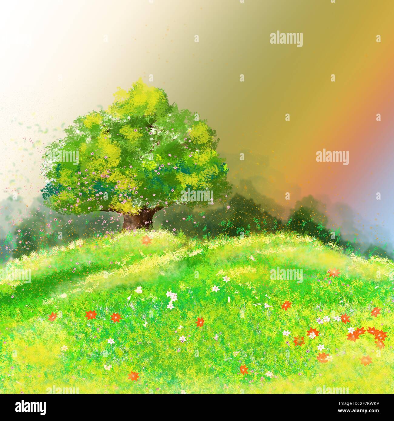 Blumen blauer Himmel Insekten fliegen bunte Wiese Rasen Gras Sommer ...