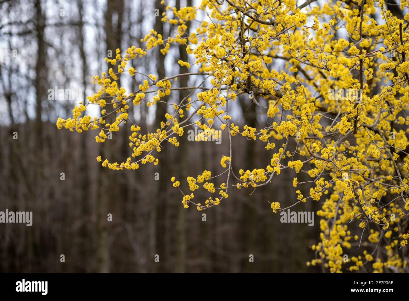 Erregt aufmerksamkeit -Fotos und -Bildmaterial in hoher Auflösung – Alamy