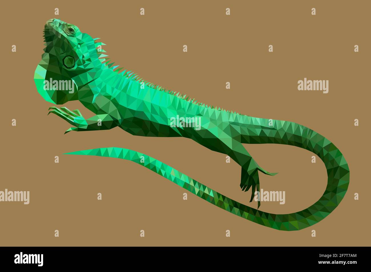 Low poly logo design Stock-Vektorgrafiken kaufen - Alamy