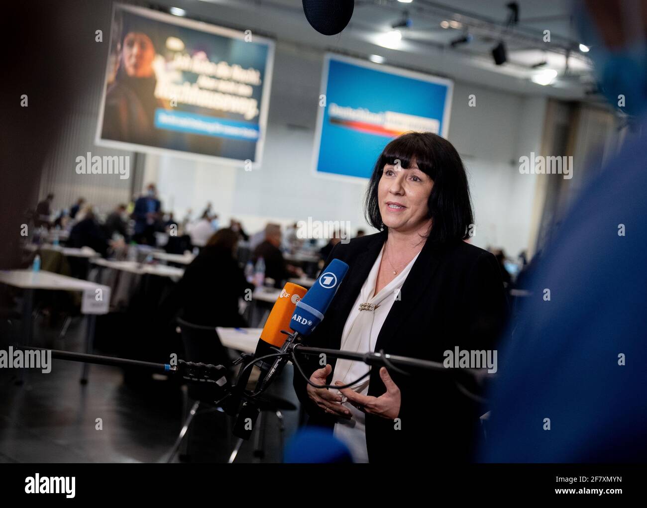 Joana cotar -Fotos und -Bildmaterial in hoher Auflösung – Alamy