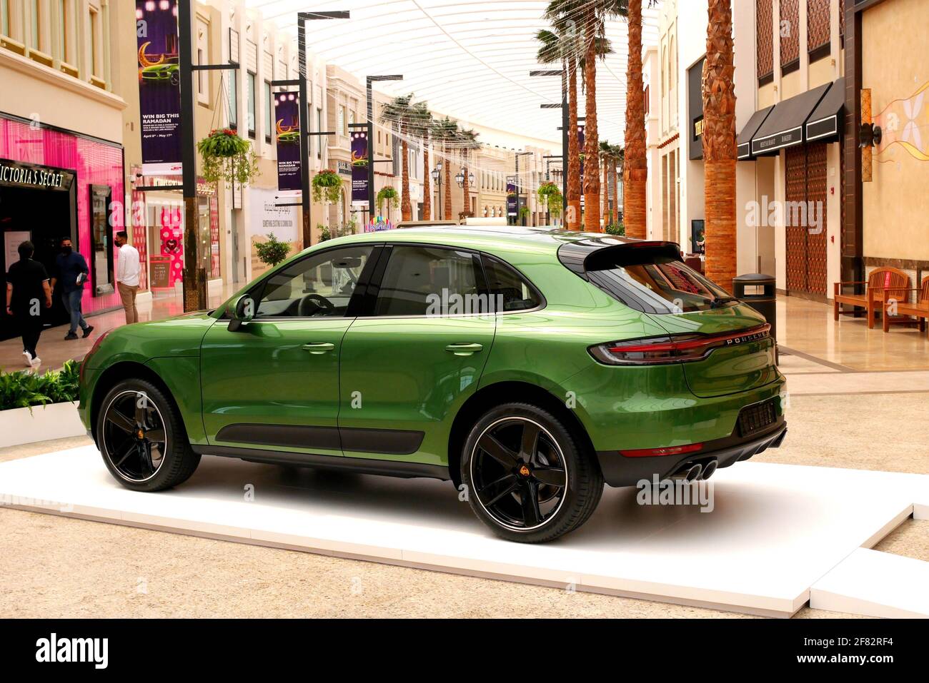 Mamba grün -Fotos und -Bildmaterial in hoher Auflösung – Alamy