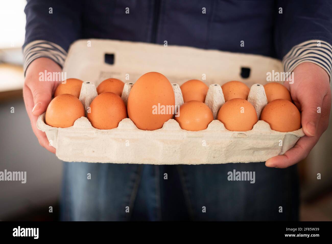 Jumbo eier -Fotos und -Bildmaterial in hoher Auflösung – Alamy