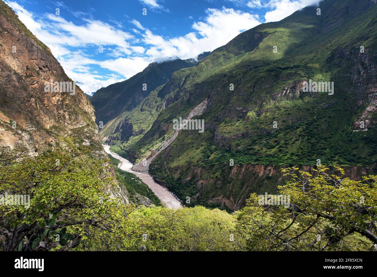 Amazonian area -Fotos und -Bildmaterial in hoher Auflösung – Alamy