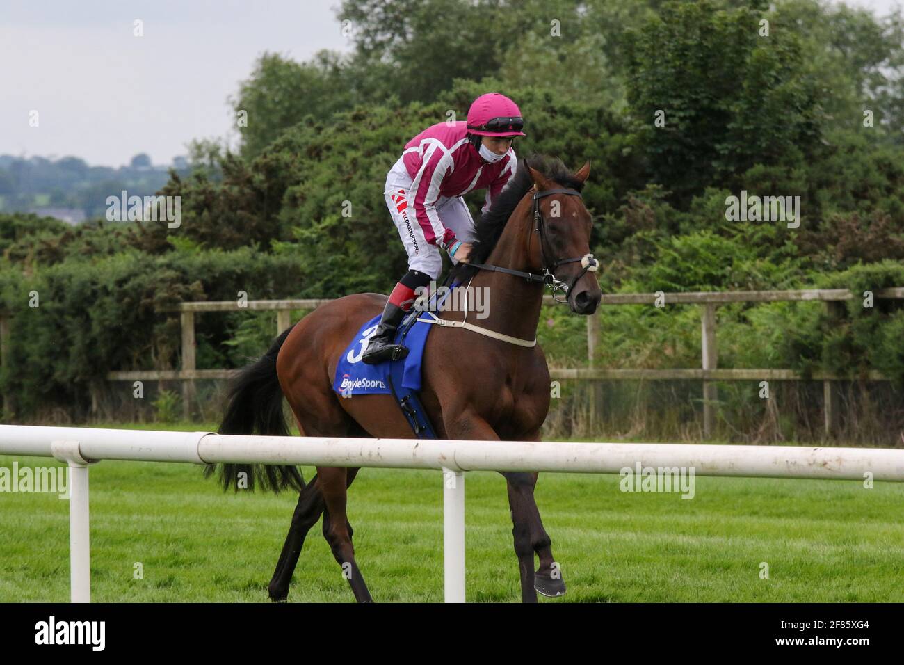 Colin keane auf baby zeus -Fotos und -Bildmaterial in hoher Auflösung ...
