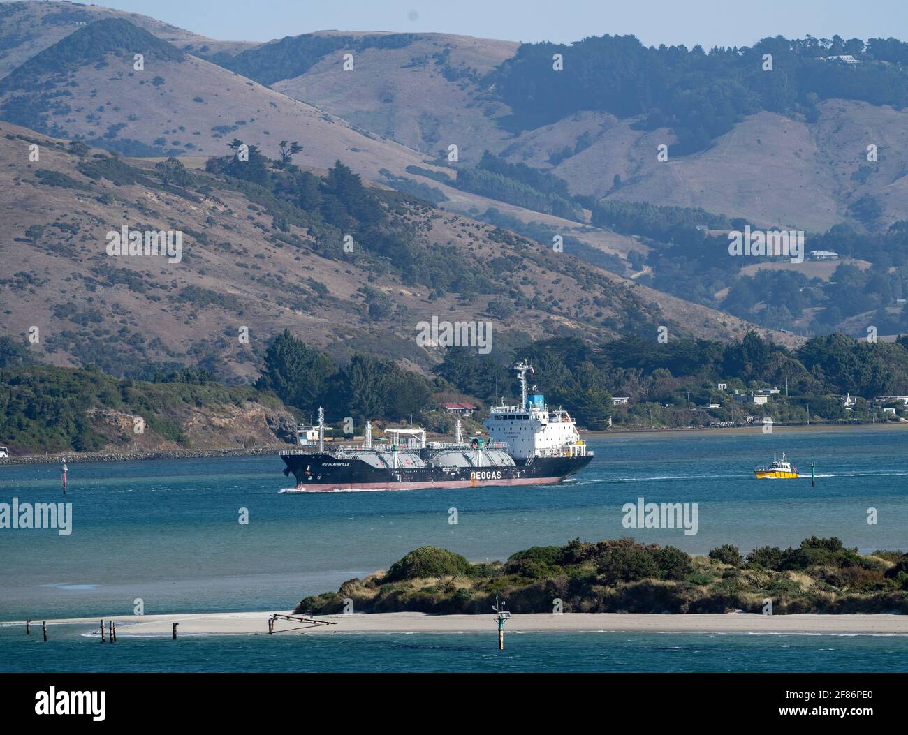Dunedin hafeneinfahrt -Fotos und -Bildmaterial in hoher Auflösung – Alamy