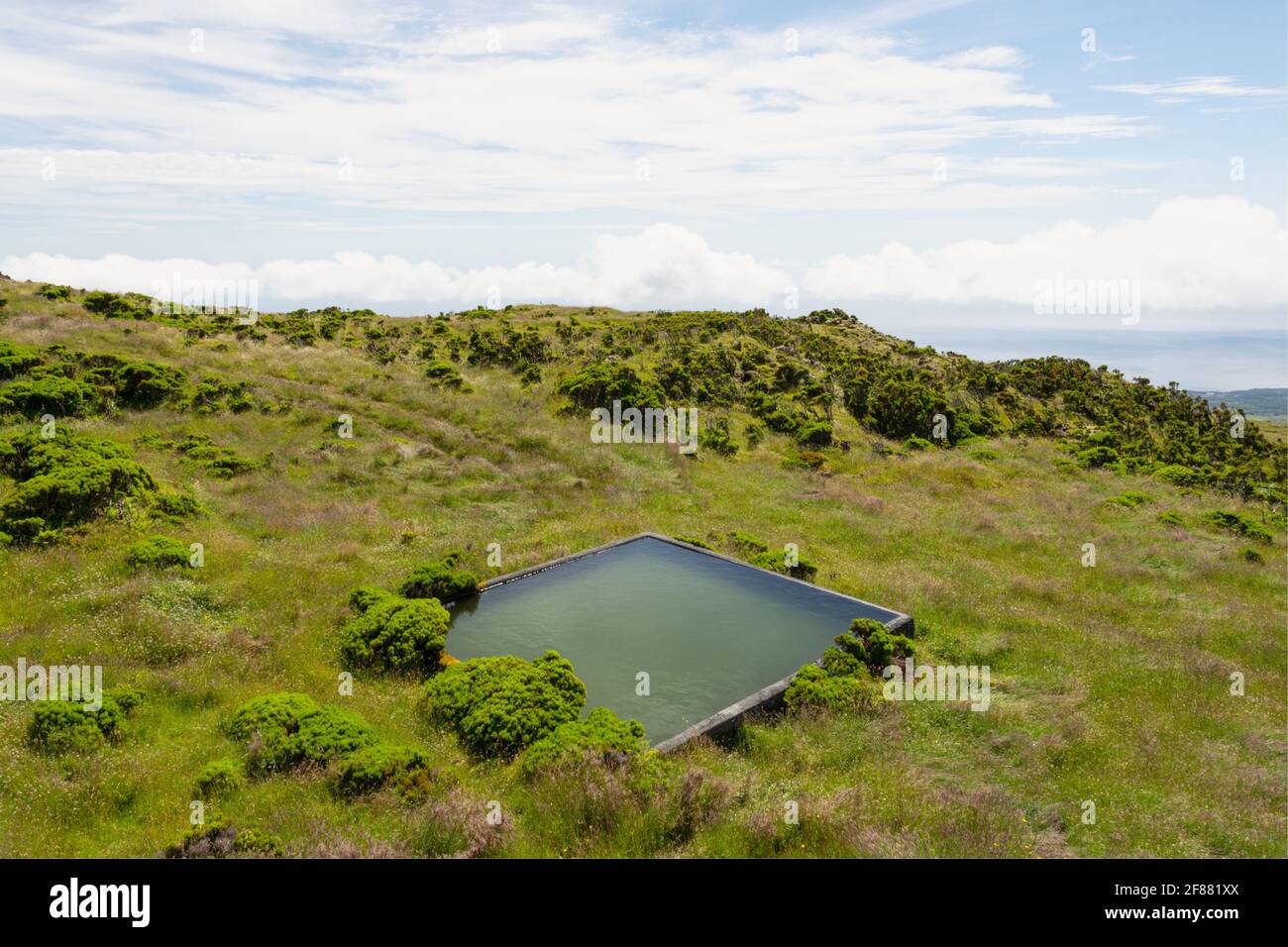 Trinkrinne für die Tiere, die wie ein Schwimmbad auf der Insel Pico auf ...