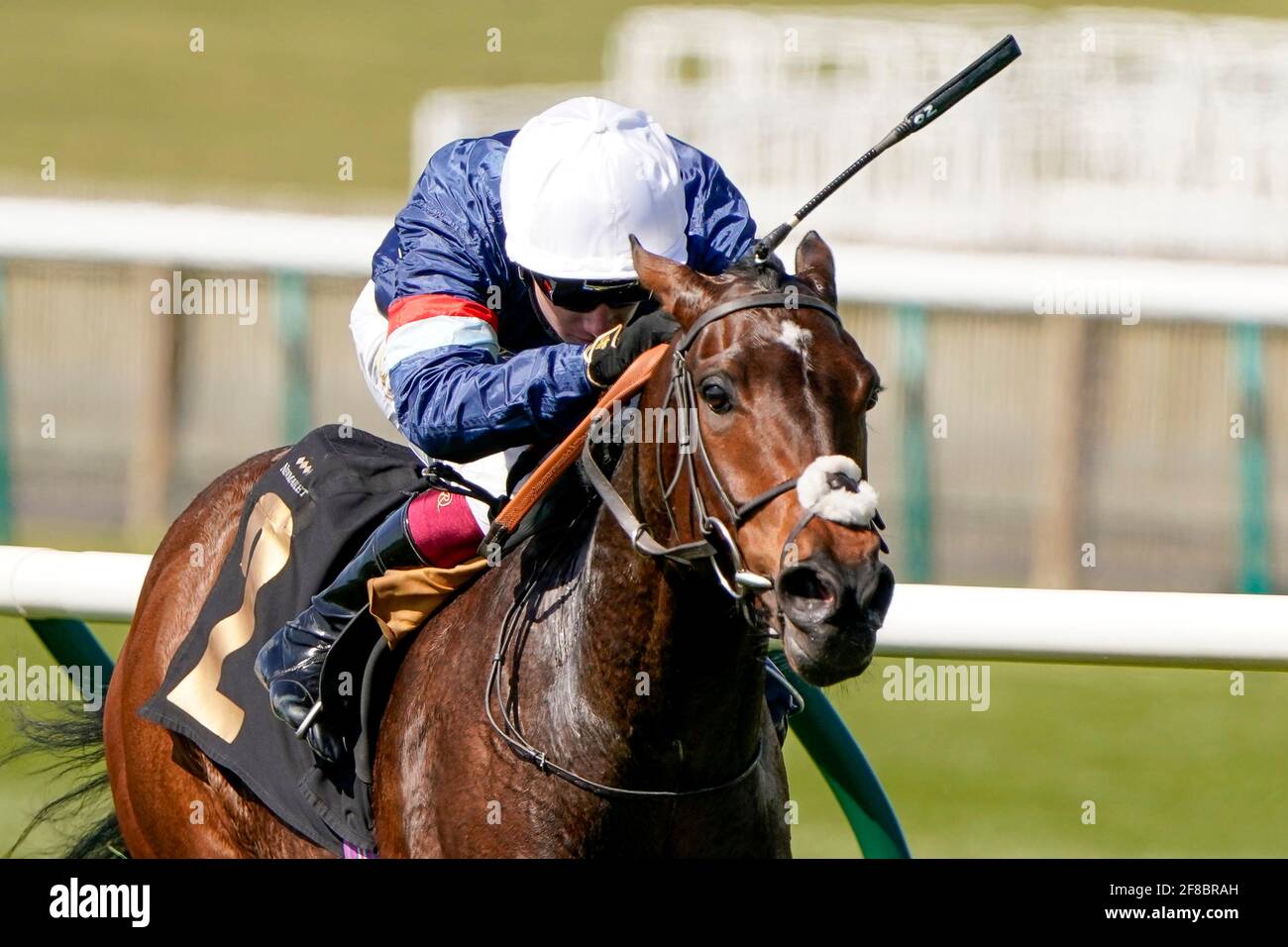 Carolus magnus -Fotos und -Bildmaterial in hoher Auflösung - Seite 2 ...