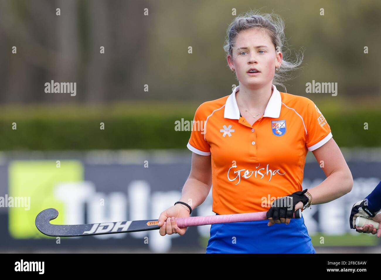 Cis van der salm bloemendaal -Fotos und -Bildmaterial in hoher ...