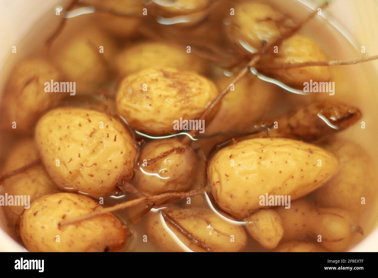 Tippy tamboo -Fotos und -Bildmaterial in hoher Auflösung – Alamy
