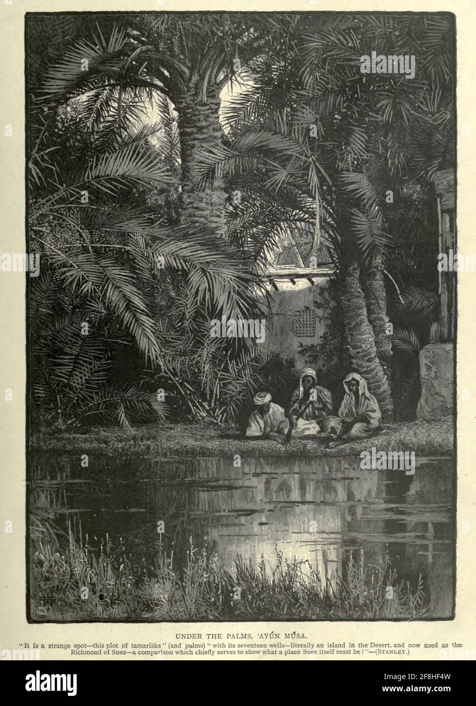 Moses Palmen Stockfotos und -bilder Kaufen - Alamy