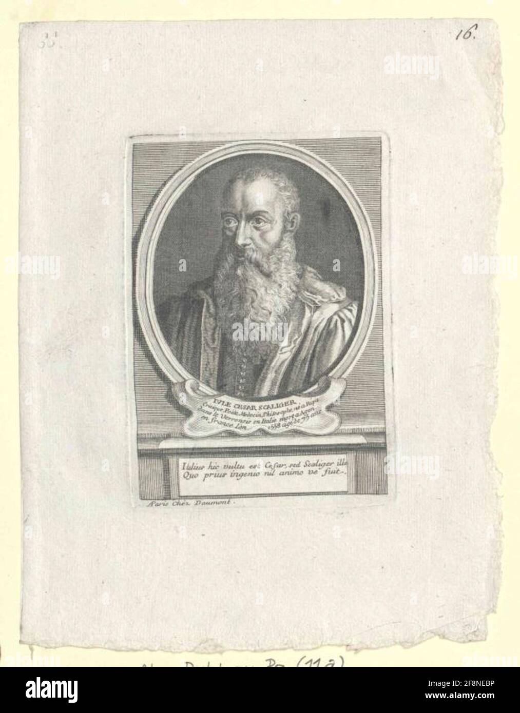 Julius caesar scaliger -Fotos und -Bildmaterial in hoher Auflösung – Alamy