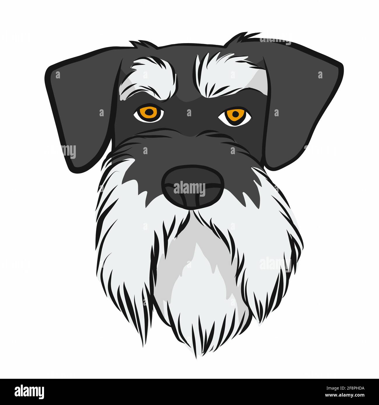 Miniatur Schnauzer Hund Gesicht Cartoon Vektor Illustration Stock Vektorgrafik Alamy