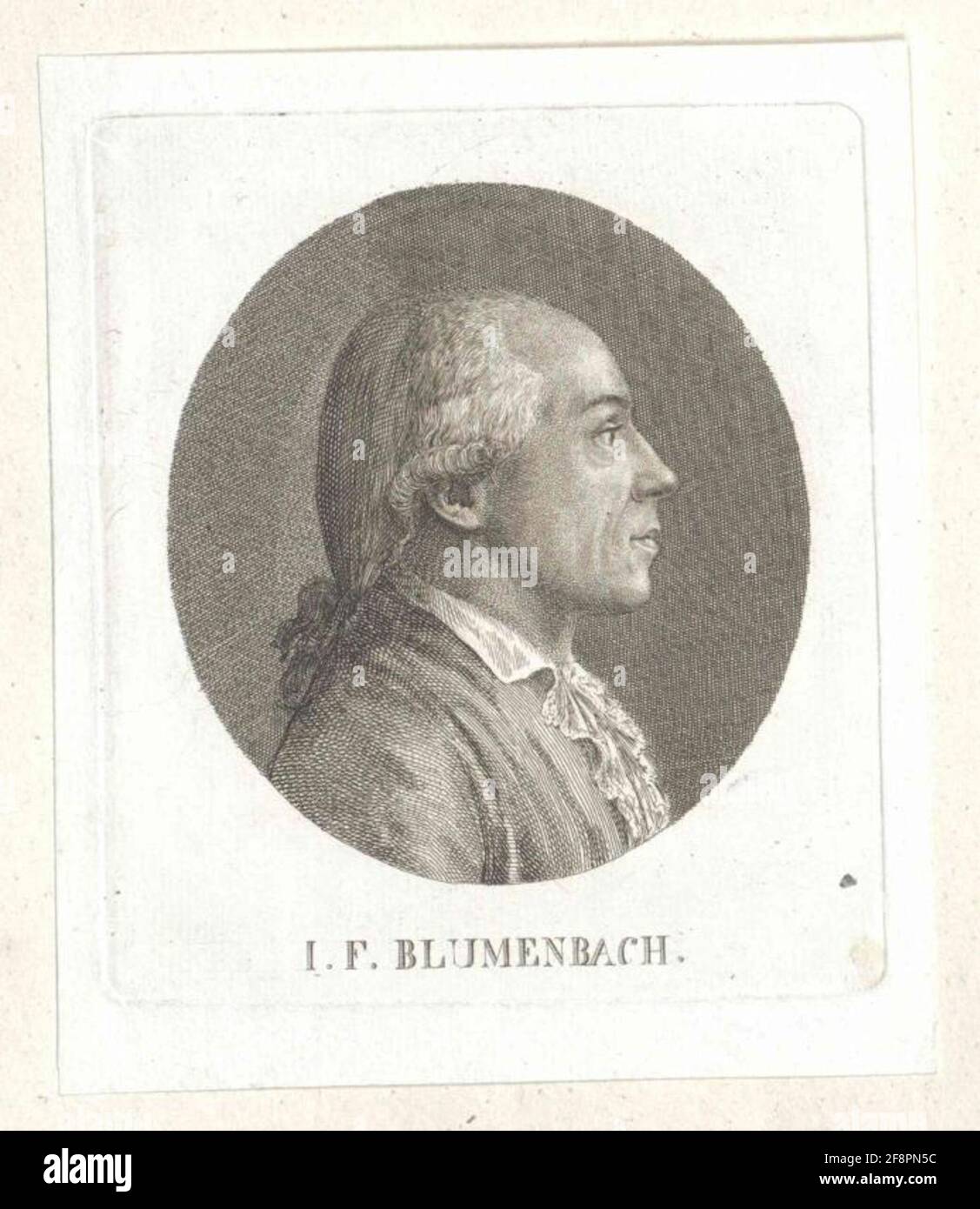 Blumenbach, Johann Friedrich Stockfotografie - Alamy