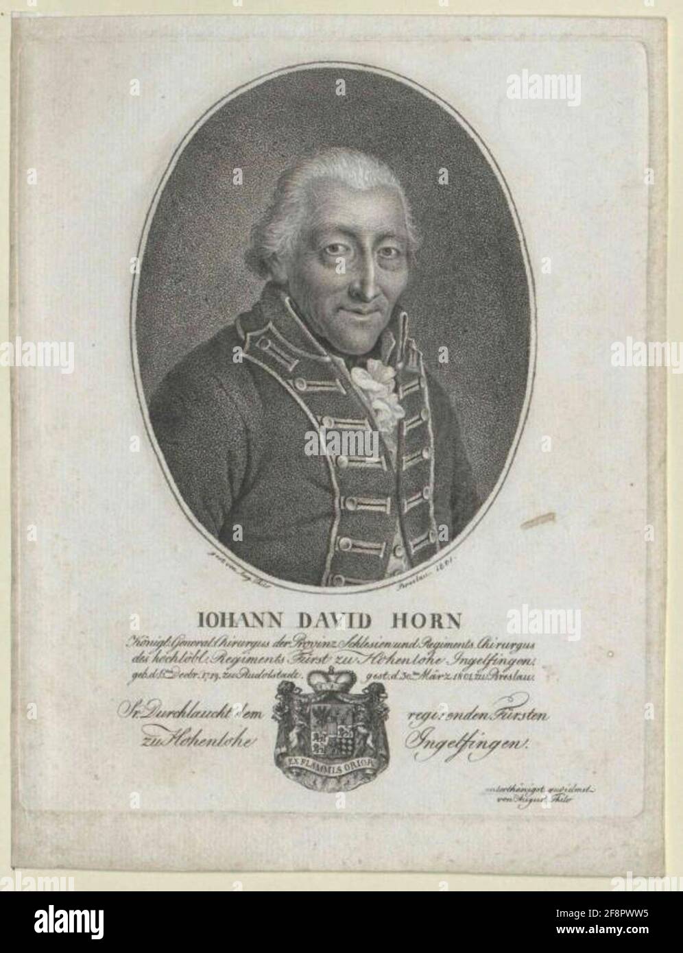 David horn -Fotos und -Bildmaterial in hoher Auflösung – Alamy