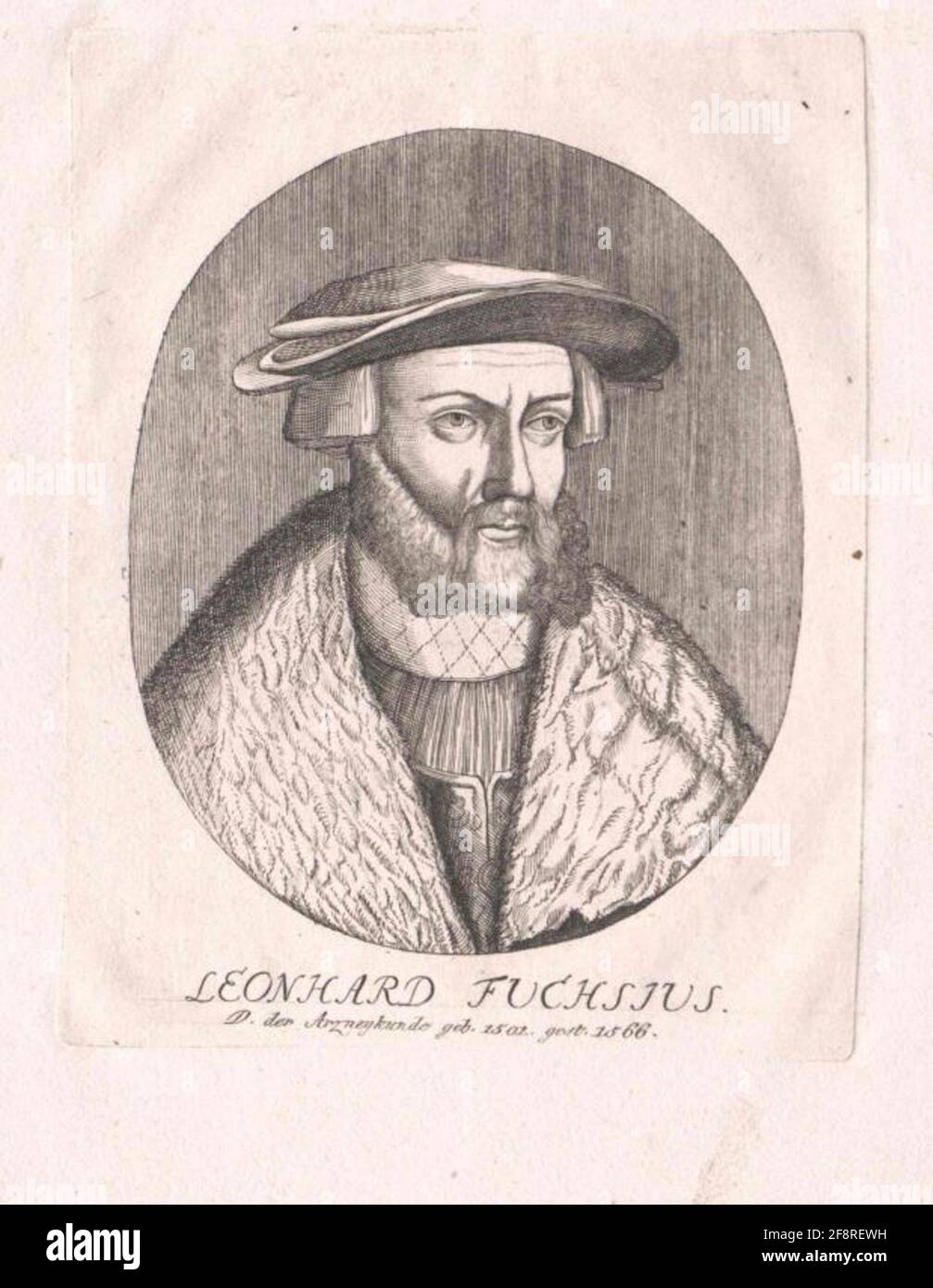 Fuchs leonhard -Fotos und -Bildmaterial in hoher Auflösung – Alamy