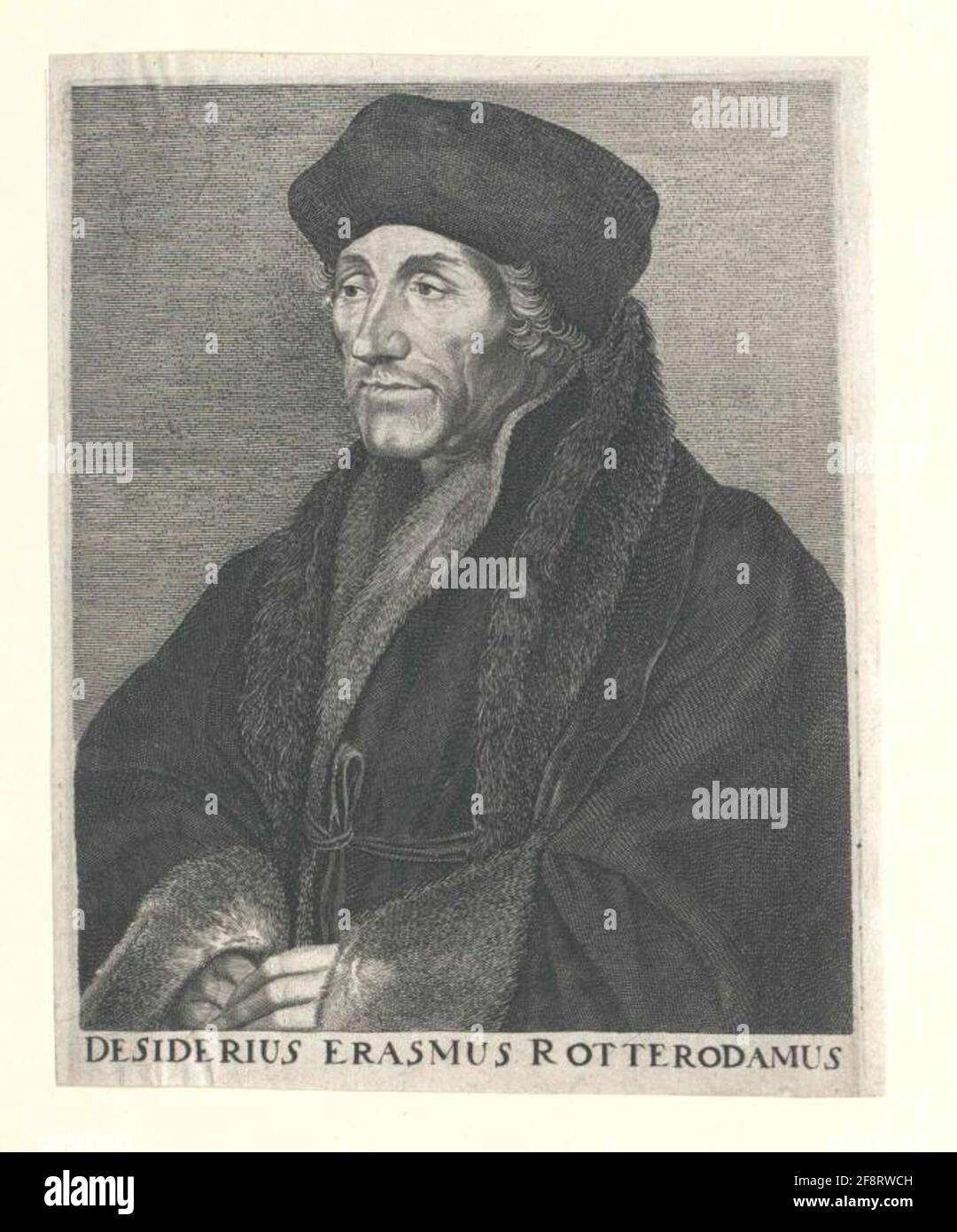 Bildung in rotterdam -Fotos und -Bildmaterial in hoher Auflösung – Alamy